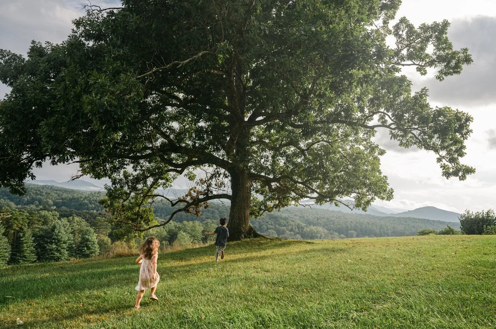 Asheville Family Portrait | Biltmore Estate Antler Hill Village — Jen ...
