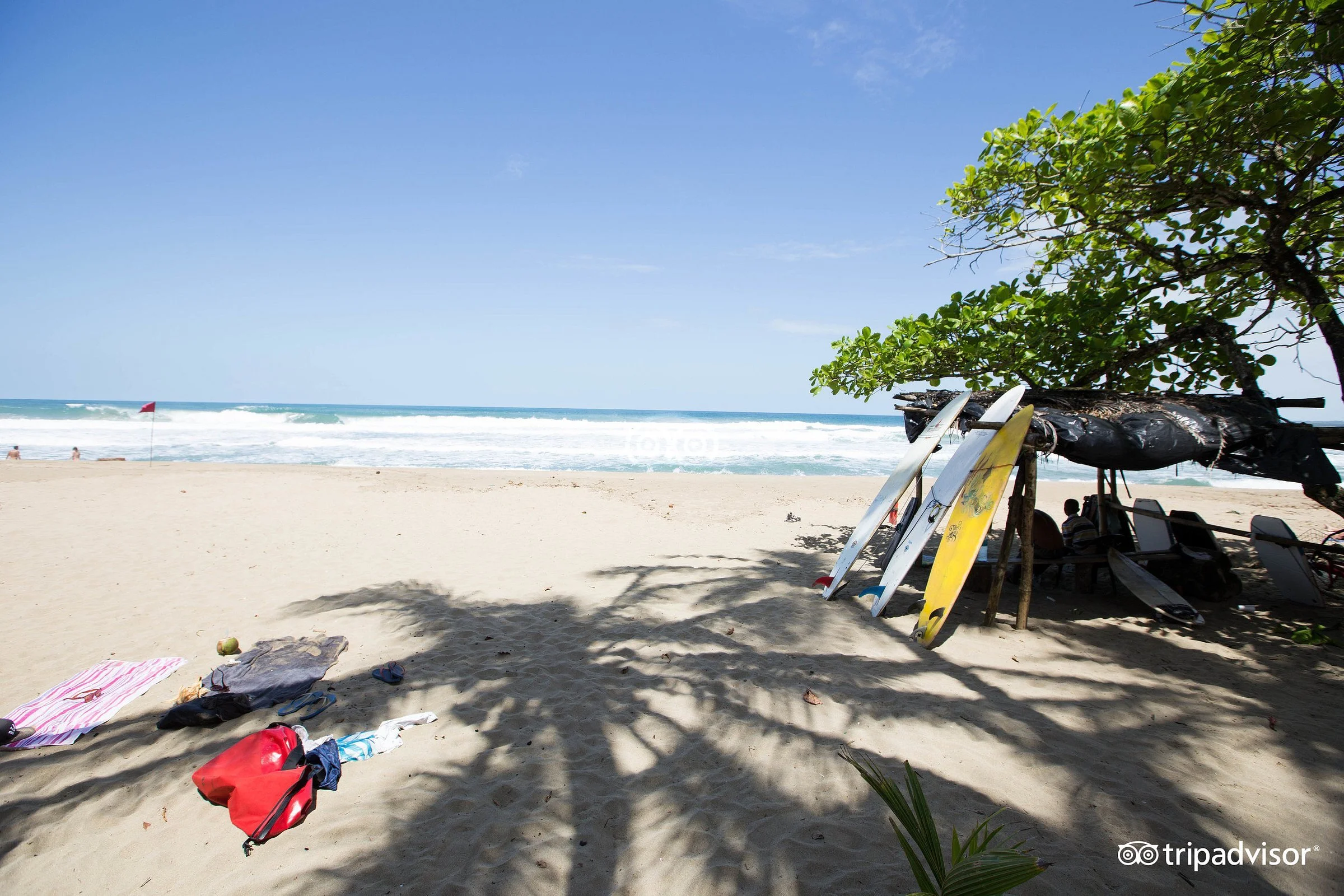Beach March Break Camp — Team Ontario