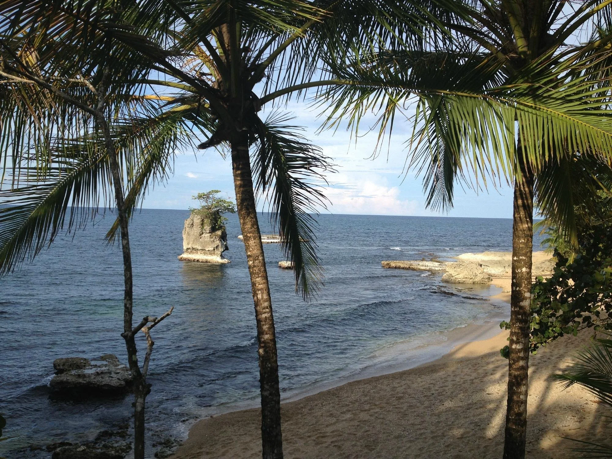 Beach March Break Camp — Team Ontario