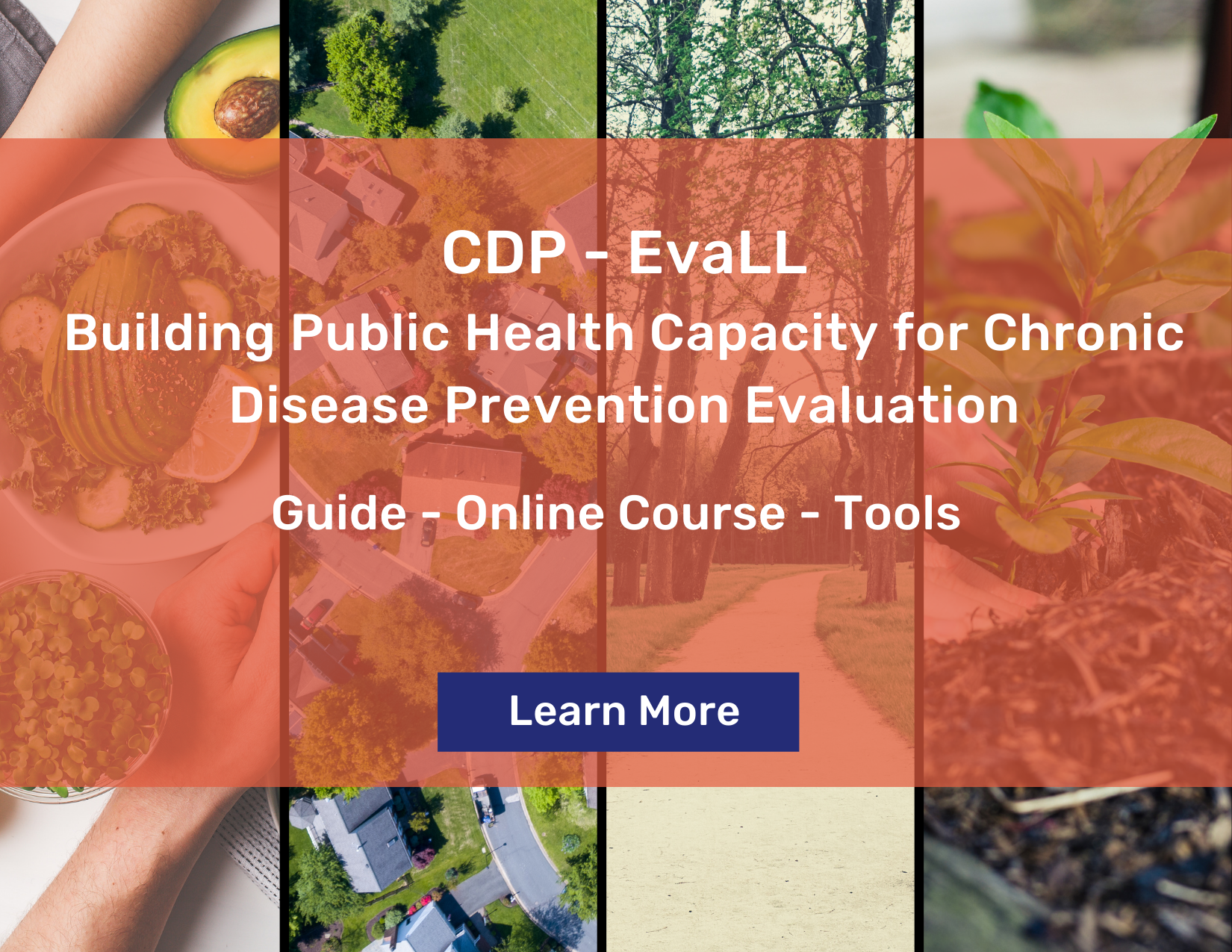 Ontario Public Health Evaluation Network