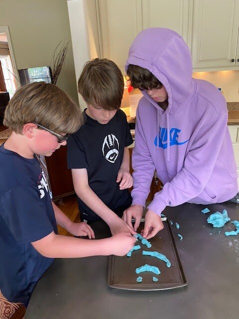 E-Lab | Christ Methodist Day School — The Primary Choice