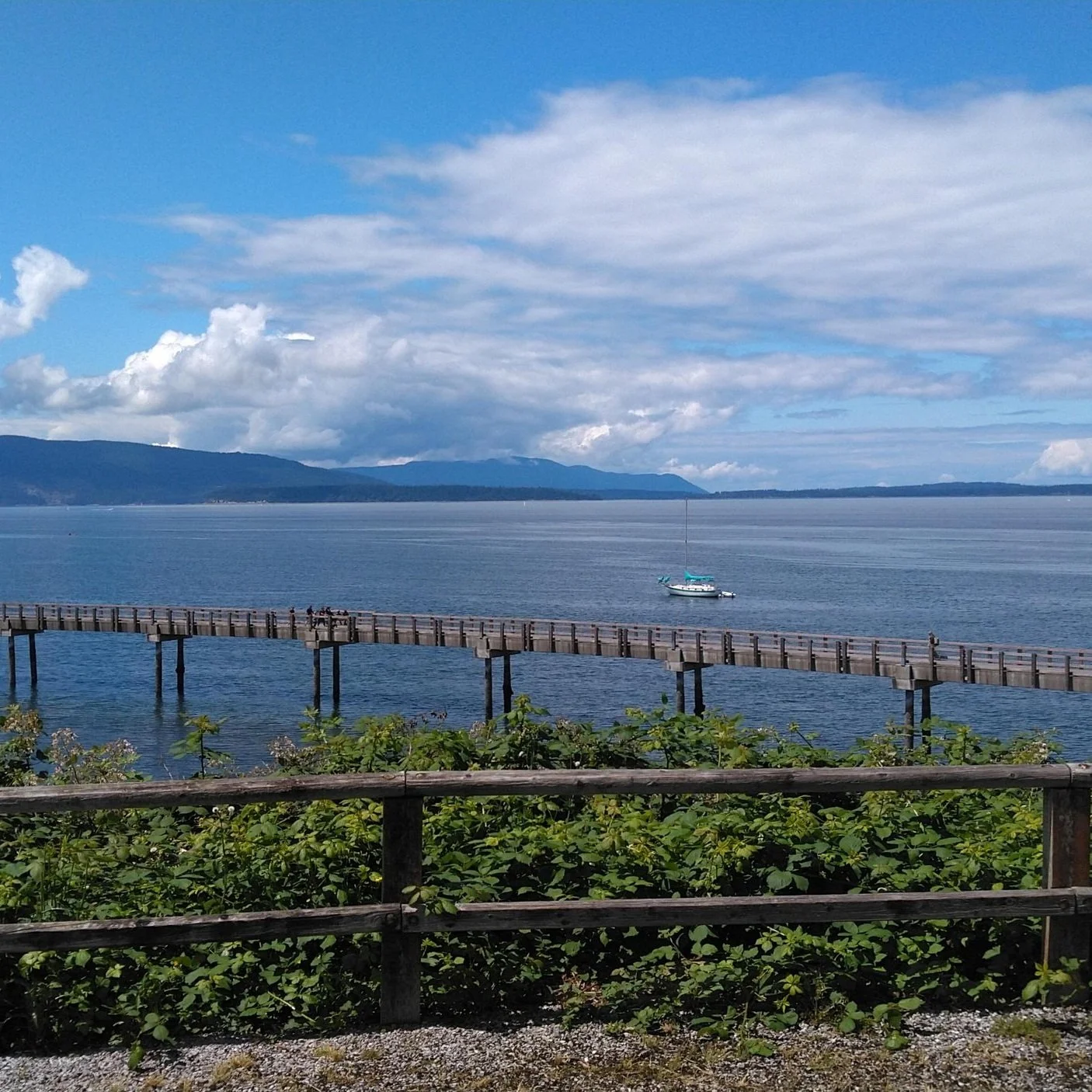 Board of Directors & Staff — Working Waterfront Coalition of Whatcom County