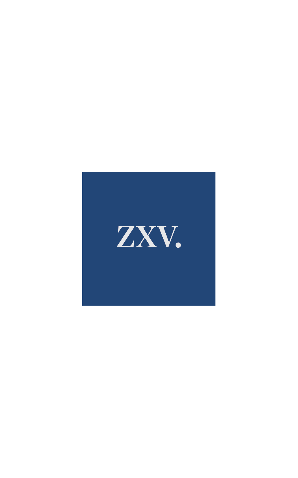 ZXV Group