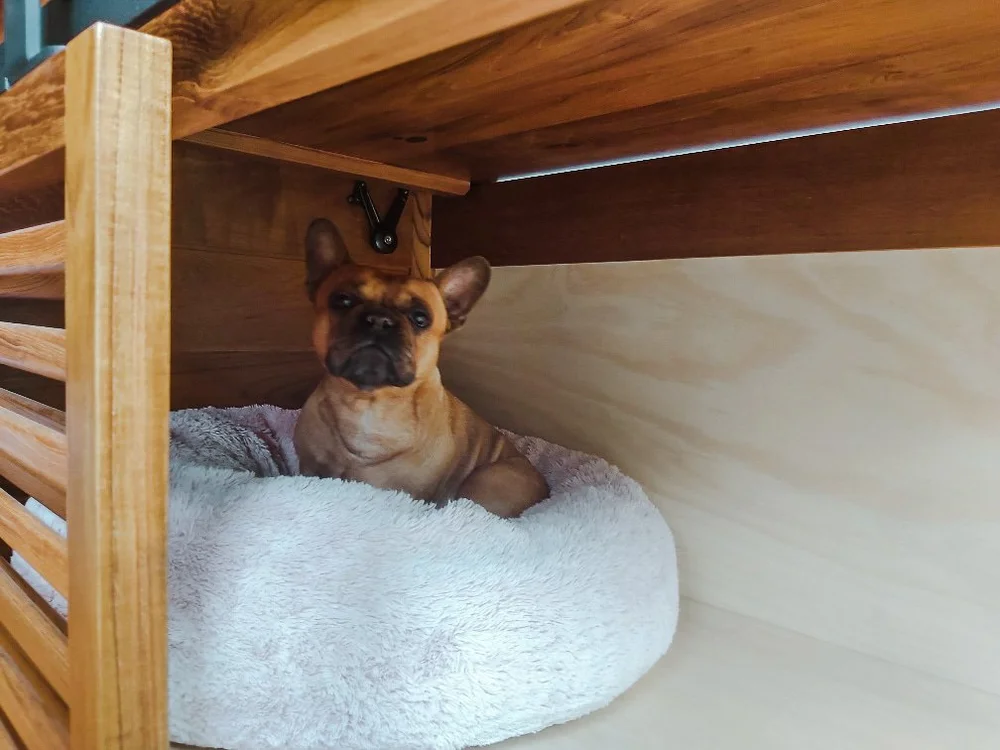 Custom-made Doghouse—'Daphne’s Dreamhouse' | Thor's Hammer