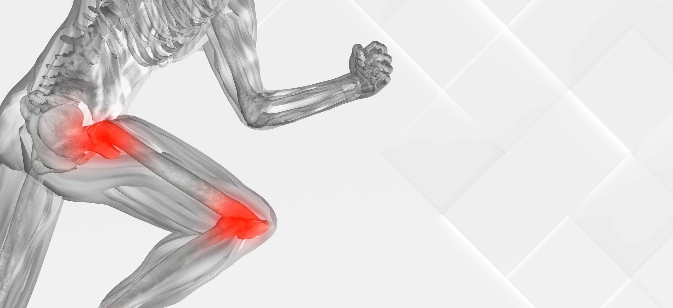 Best Orthopedic Surgeons in Los Angeles Sean Rajaee, MD - Los Angeles ...