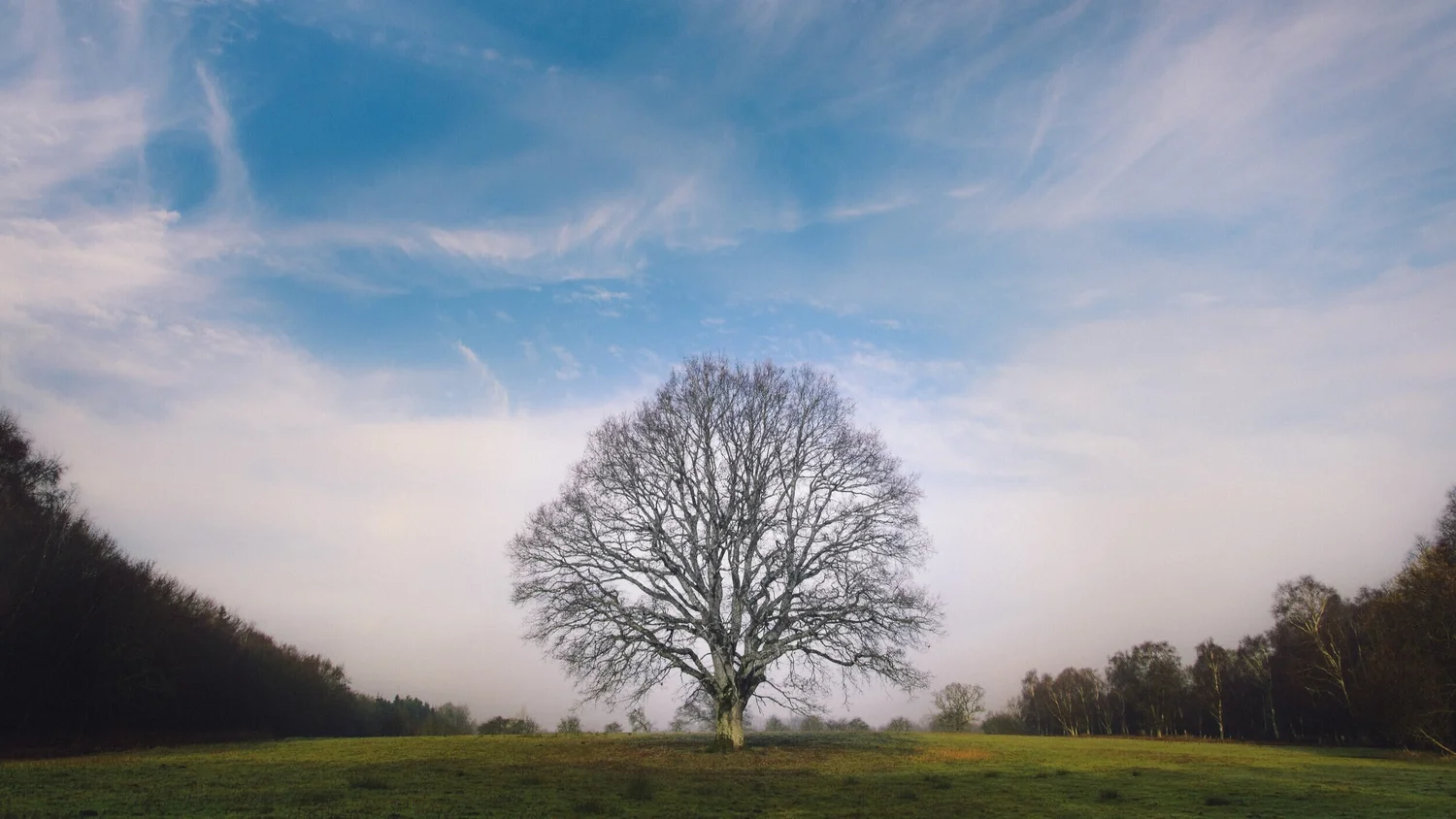 Focus on the “Why” — Andrea Stolpe