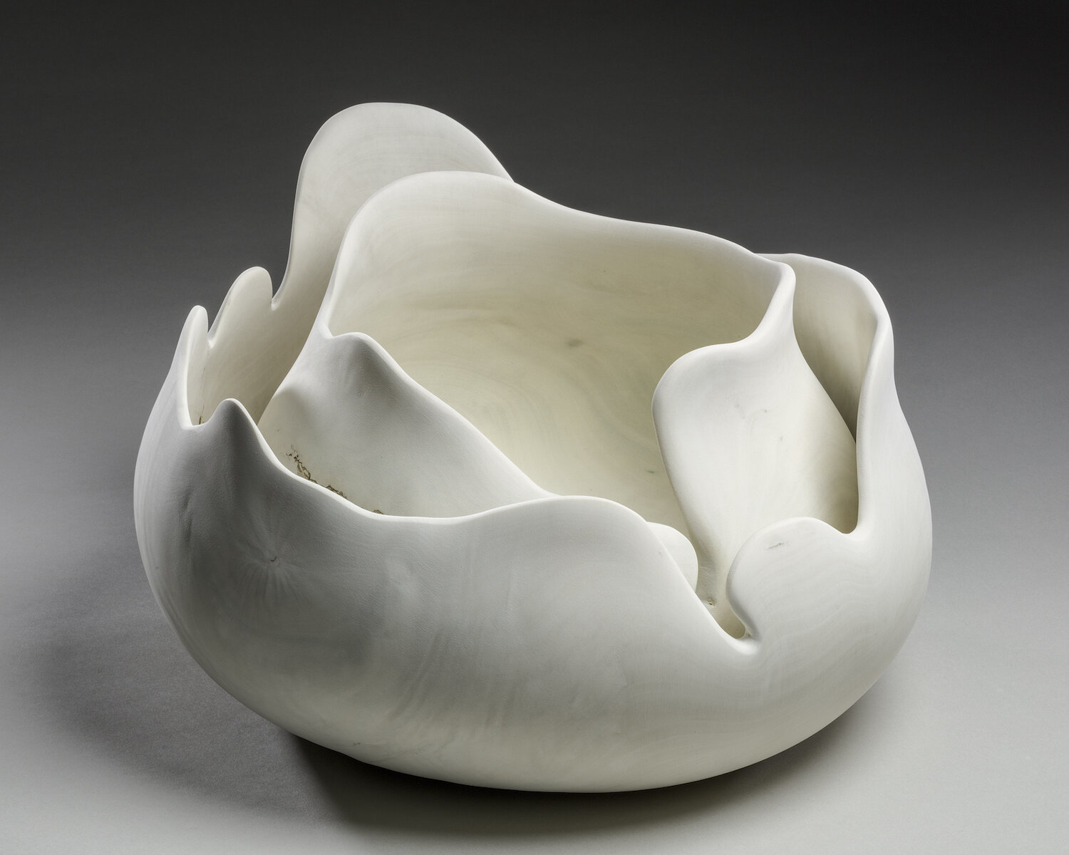 Interview with artist Gene Sparling — The Arkansas Art Scene Blog