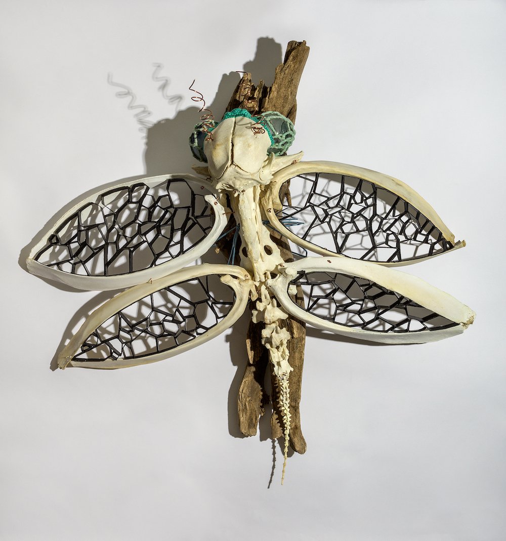 Interview with artist Elizabeth Weber — The Arkansas Art Scene Blog