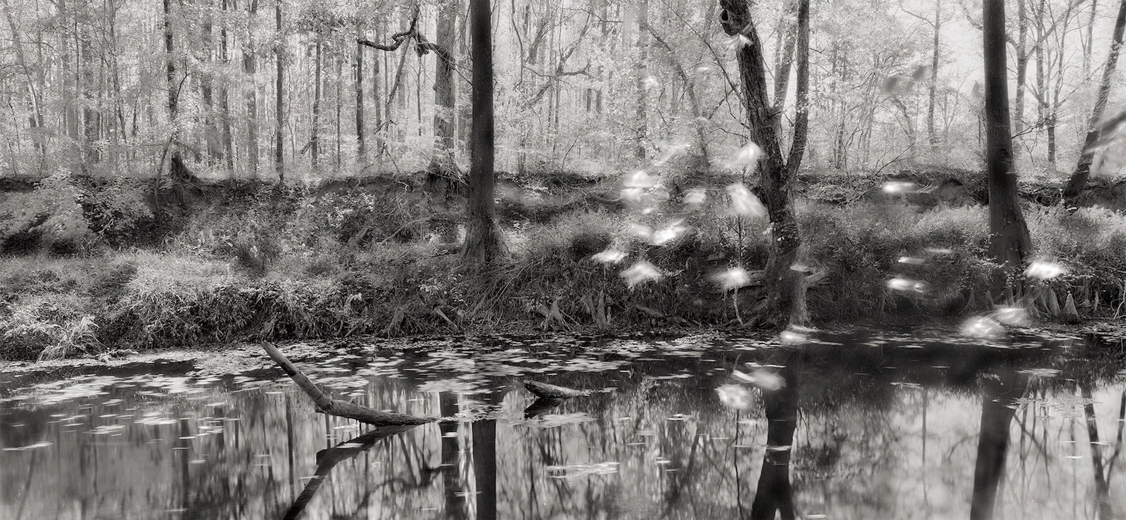 Interview with artist George Chambers, Jr. — The Arkansas Art Scene Blog