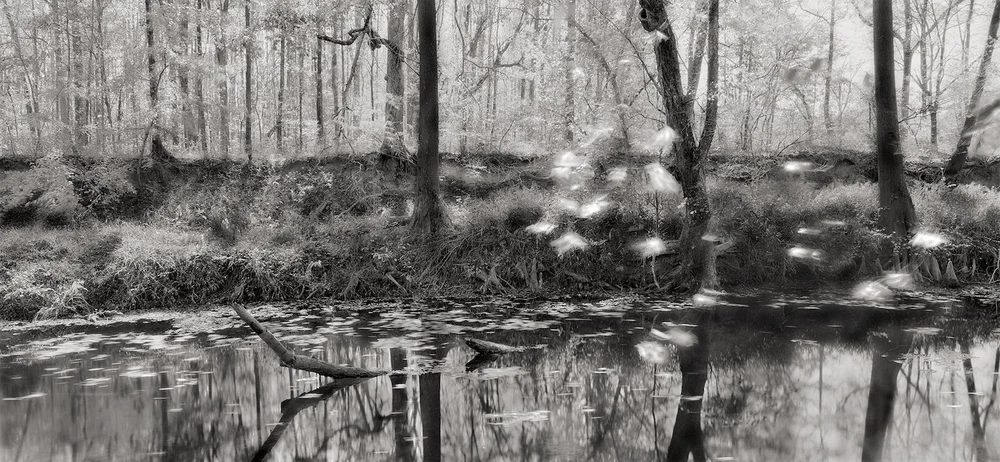 Interview with artist George Chambers, Jr. — The Arkansas Art Scene Blog