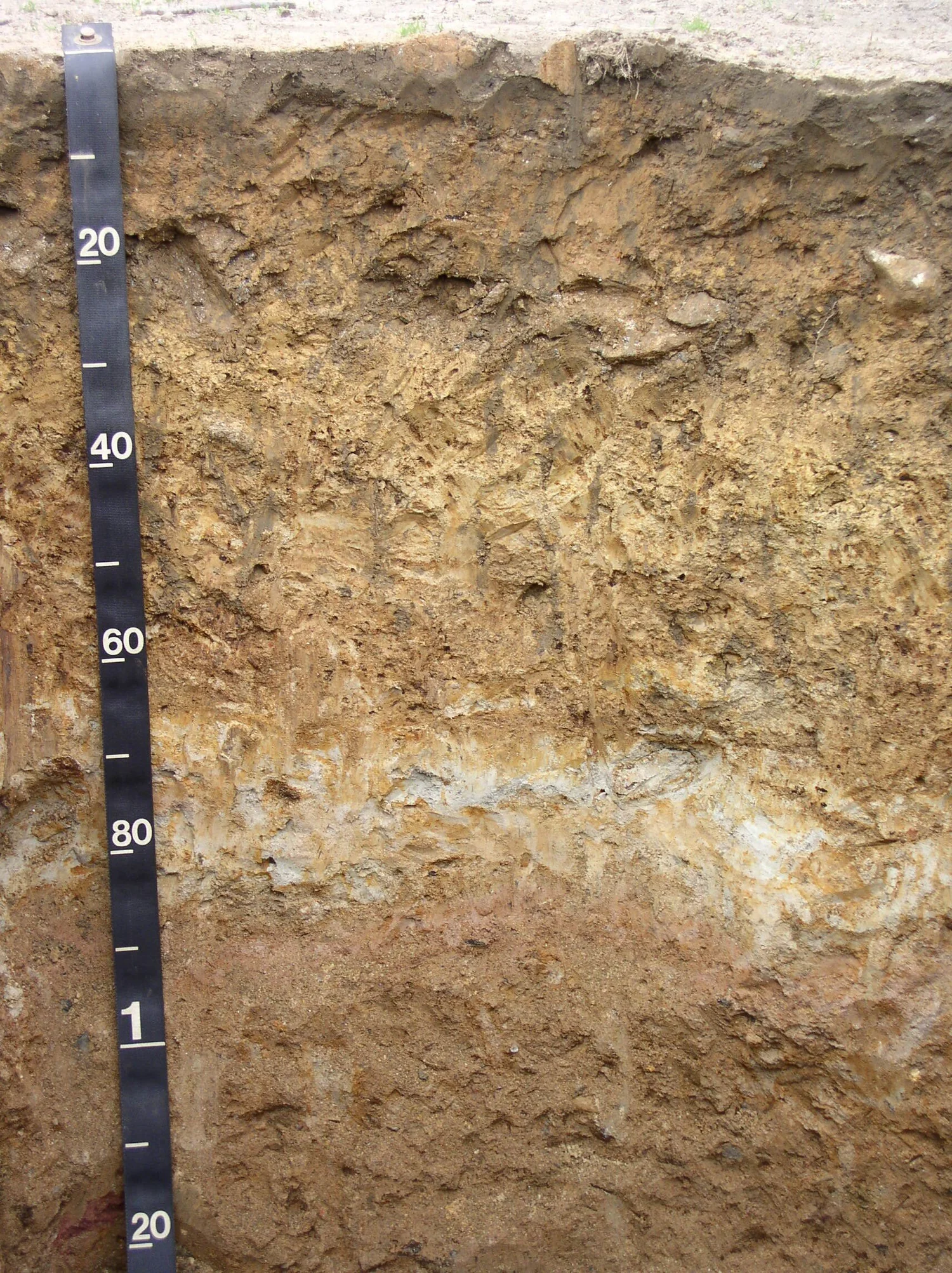 Soils and the City — Urban Soils Institute