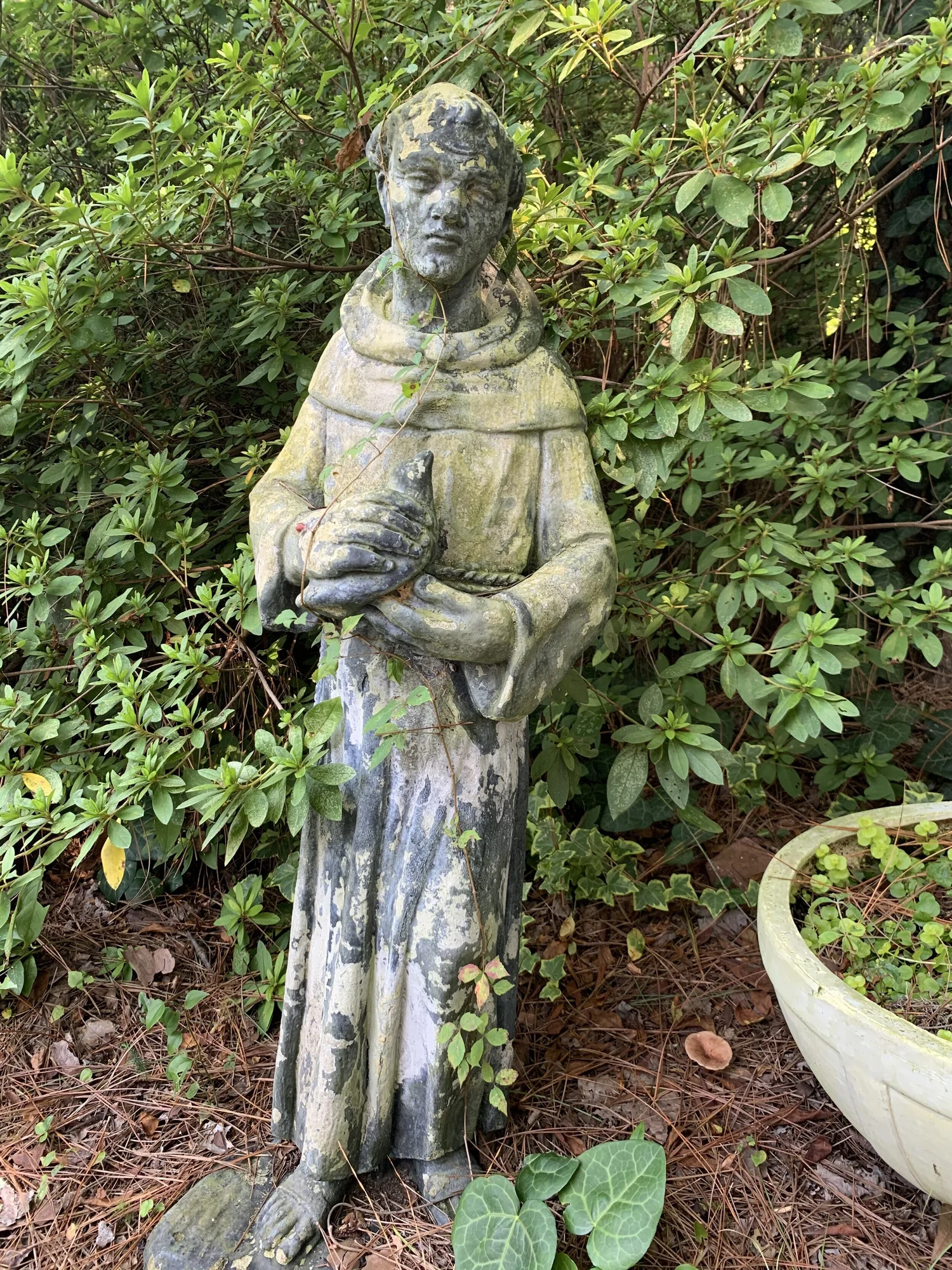 The Franciscan — St Francis