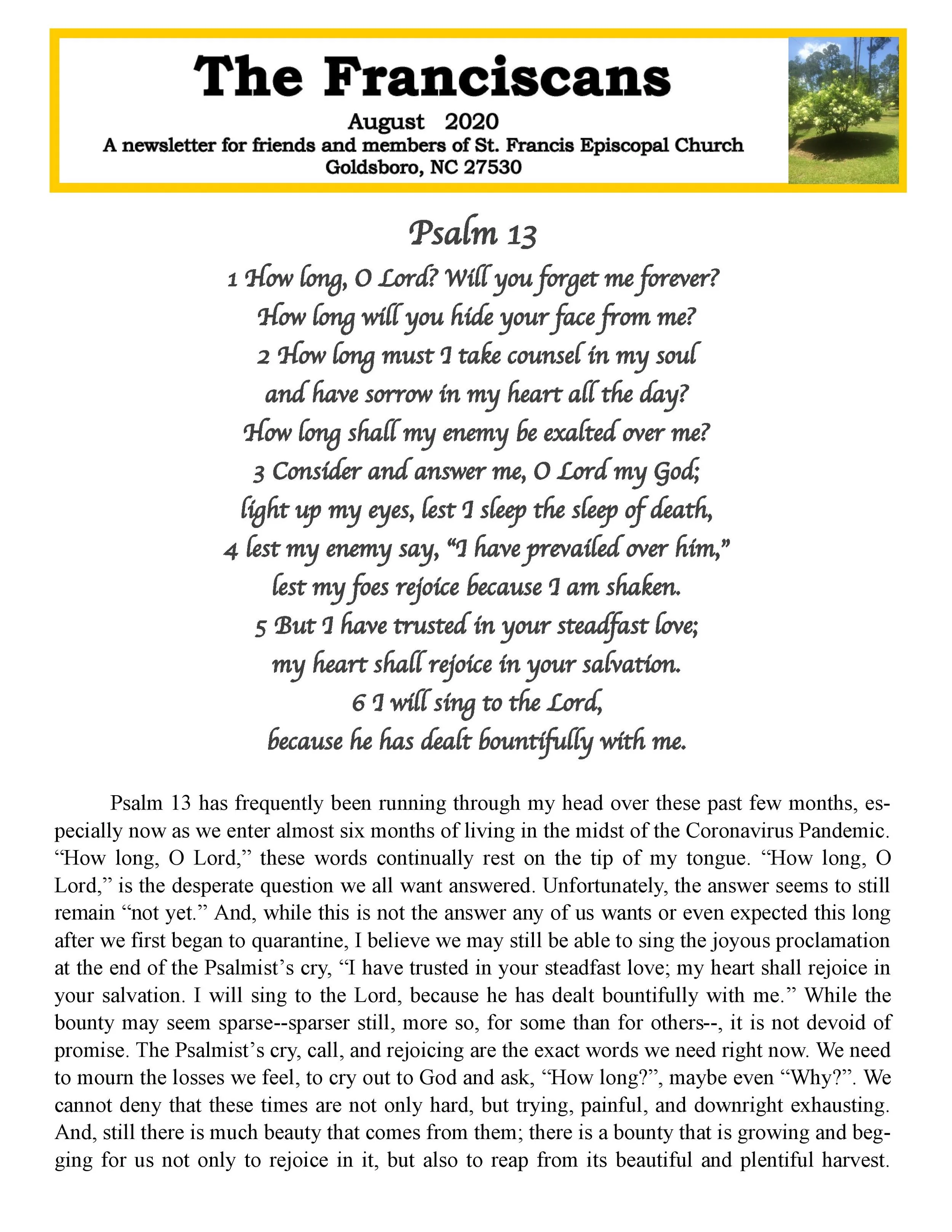 The Franciscan — St Francis