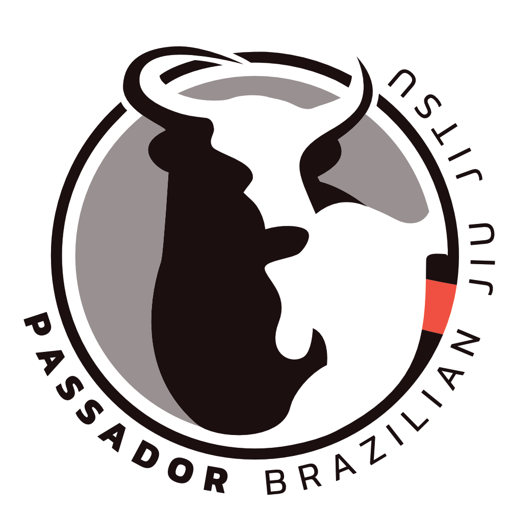 Services 4 — Passador BJJ