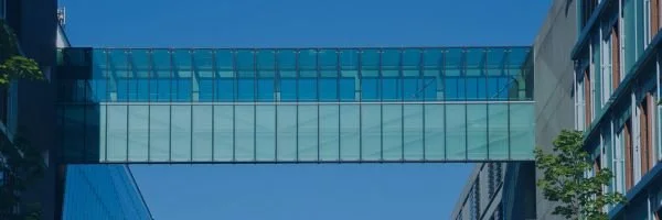 About Us | Skywalk Group