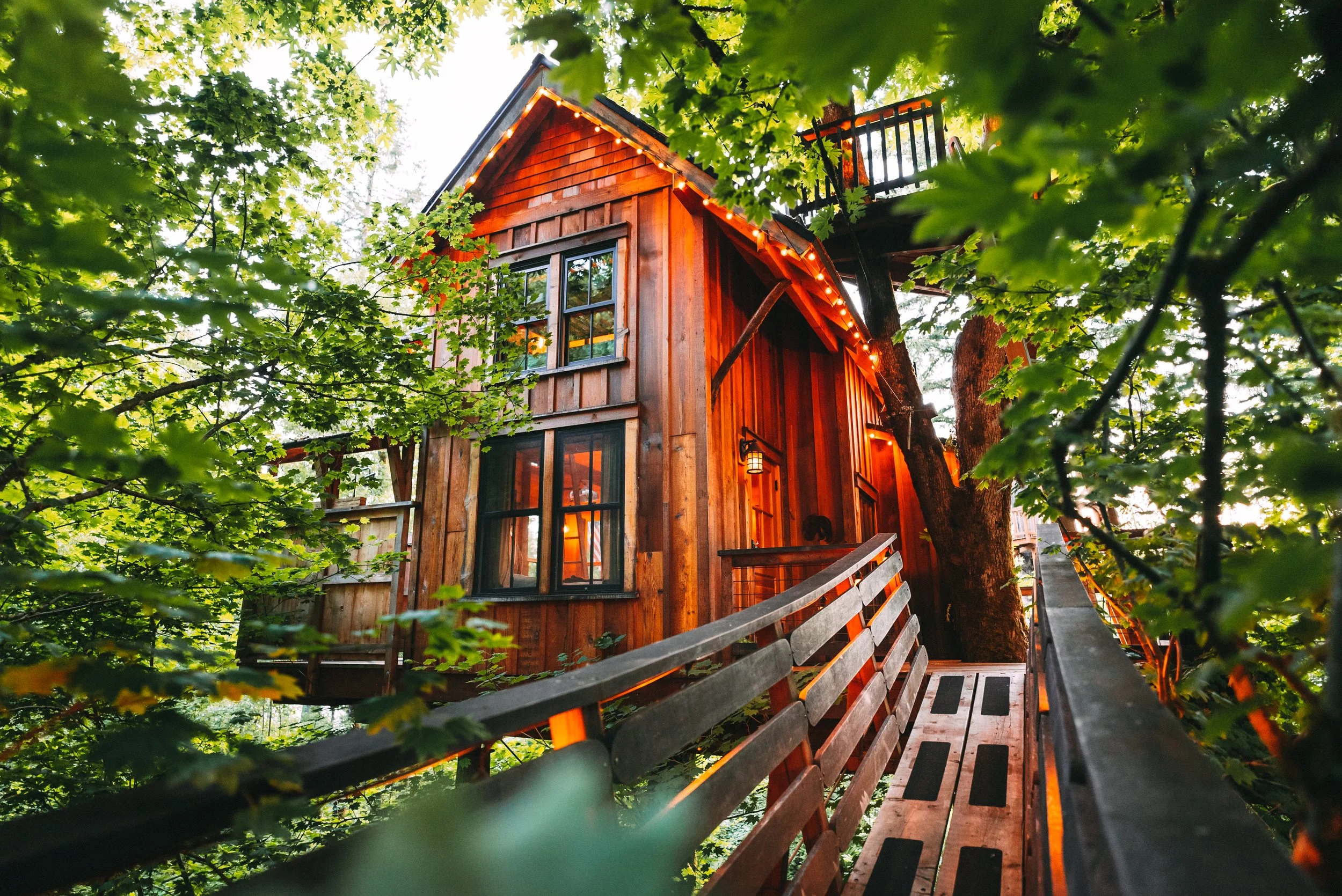 Tree House Inside