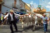 Food Festivals in Italy: 12 Months of Sagra to Plan Your Trip Around ...