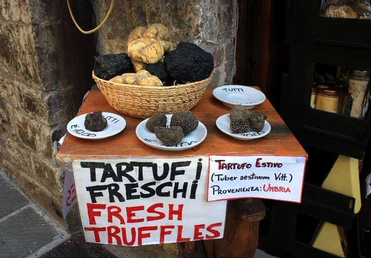 Truffles in Italy: A Foodie’s Guide to This Italian Delicacy — Italy ...