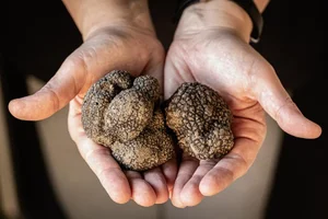 Truffles in Italy: A Foodie’s Guide to This Italian Delicacy — Italy ...