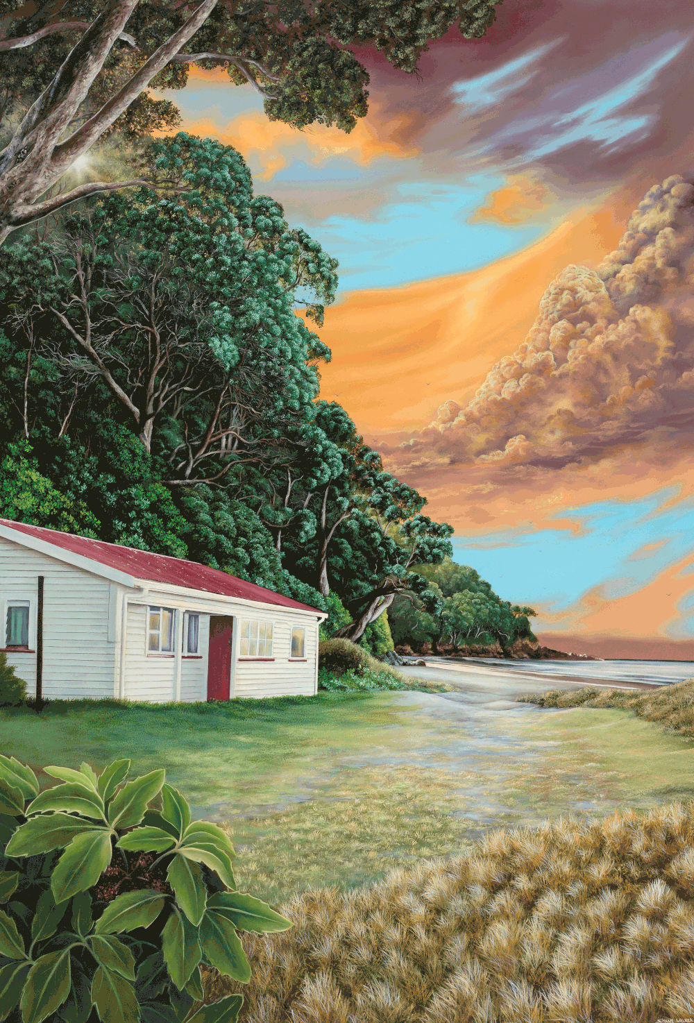 Mural Artist New Zealand | Custom Commercial & Public Murals