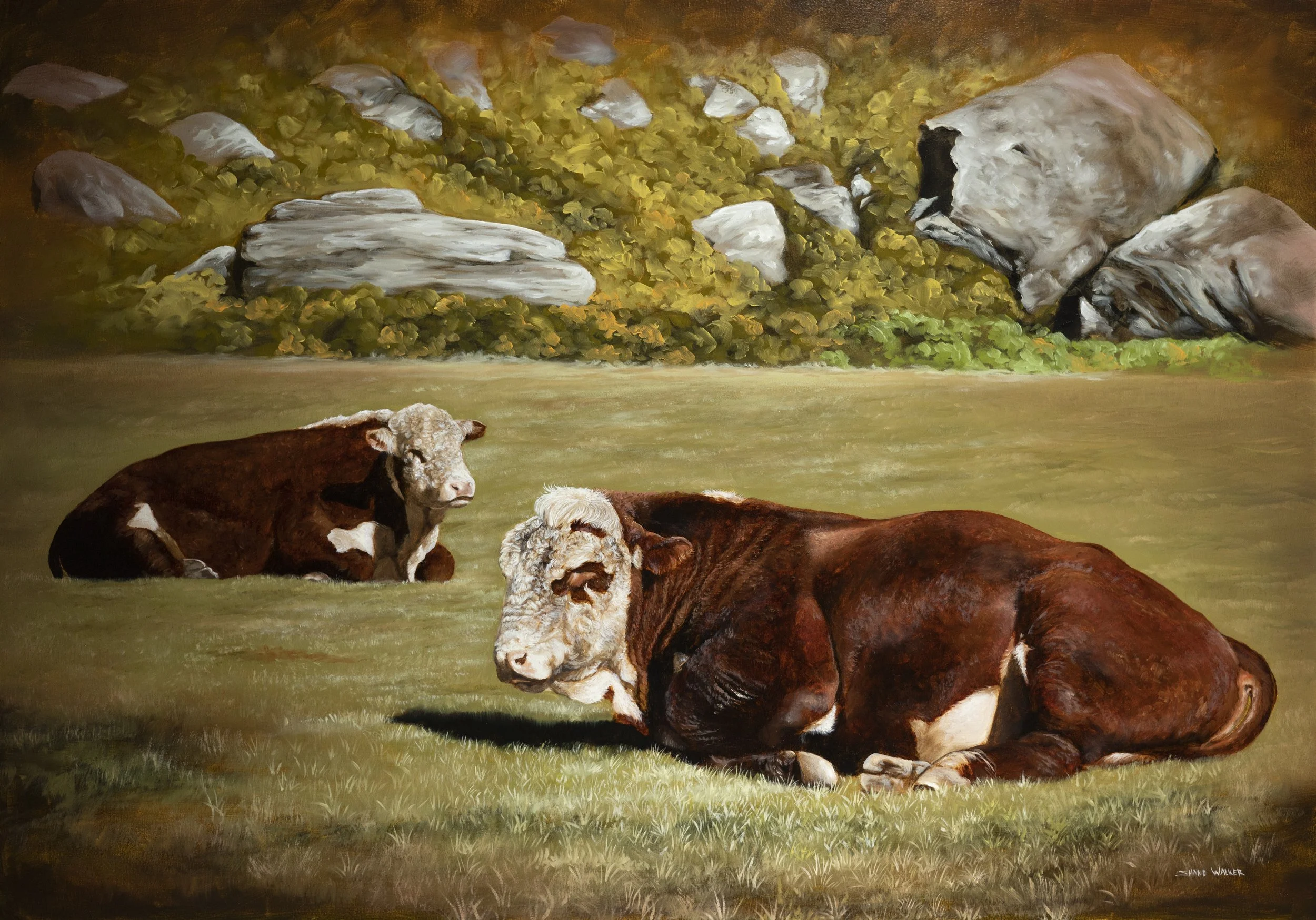 Original Paintings — Shane Walker