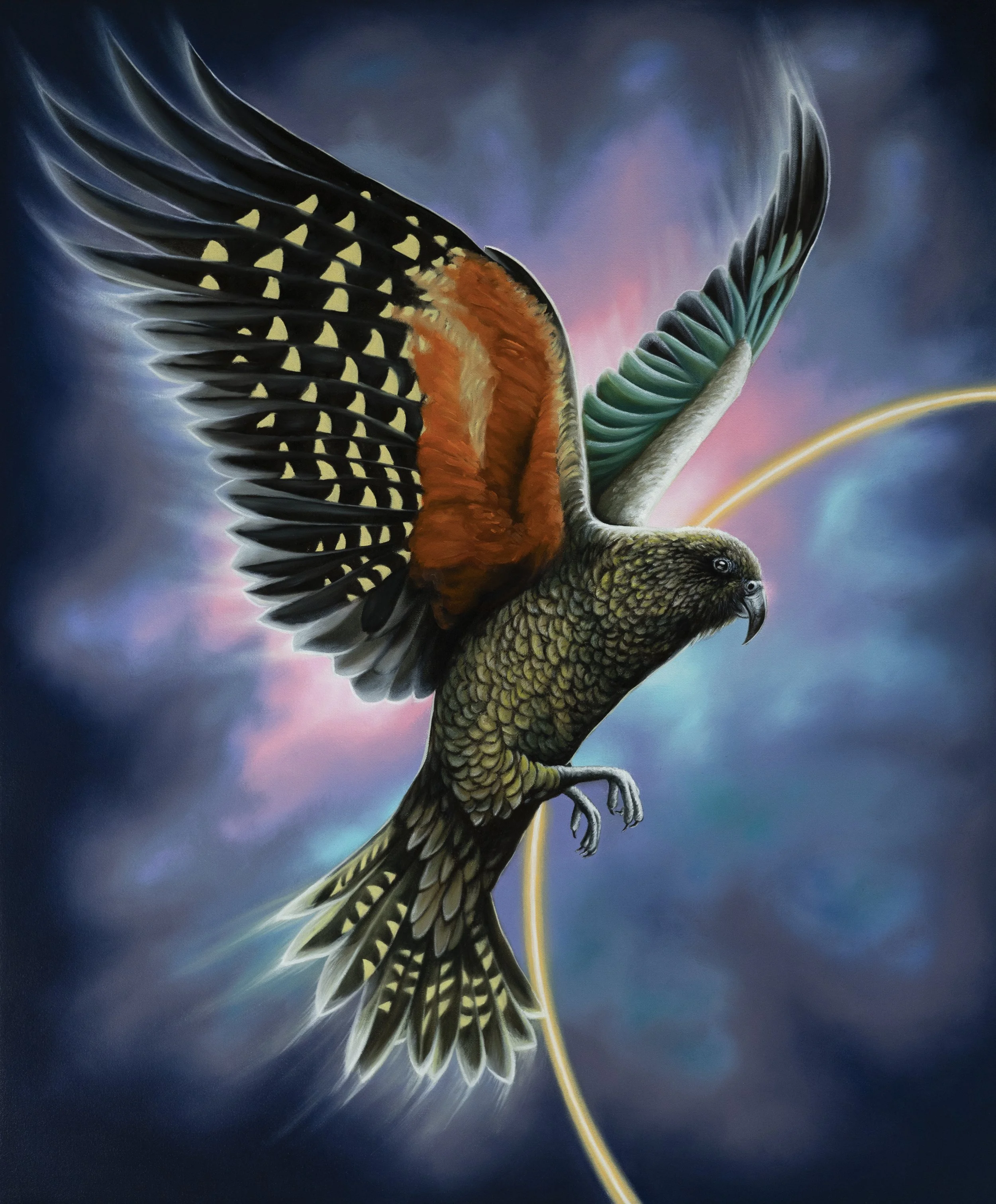 Original Paintings — Shane Walker