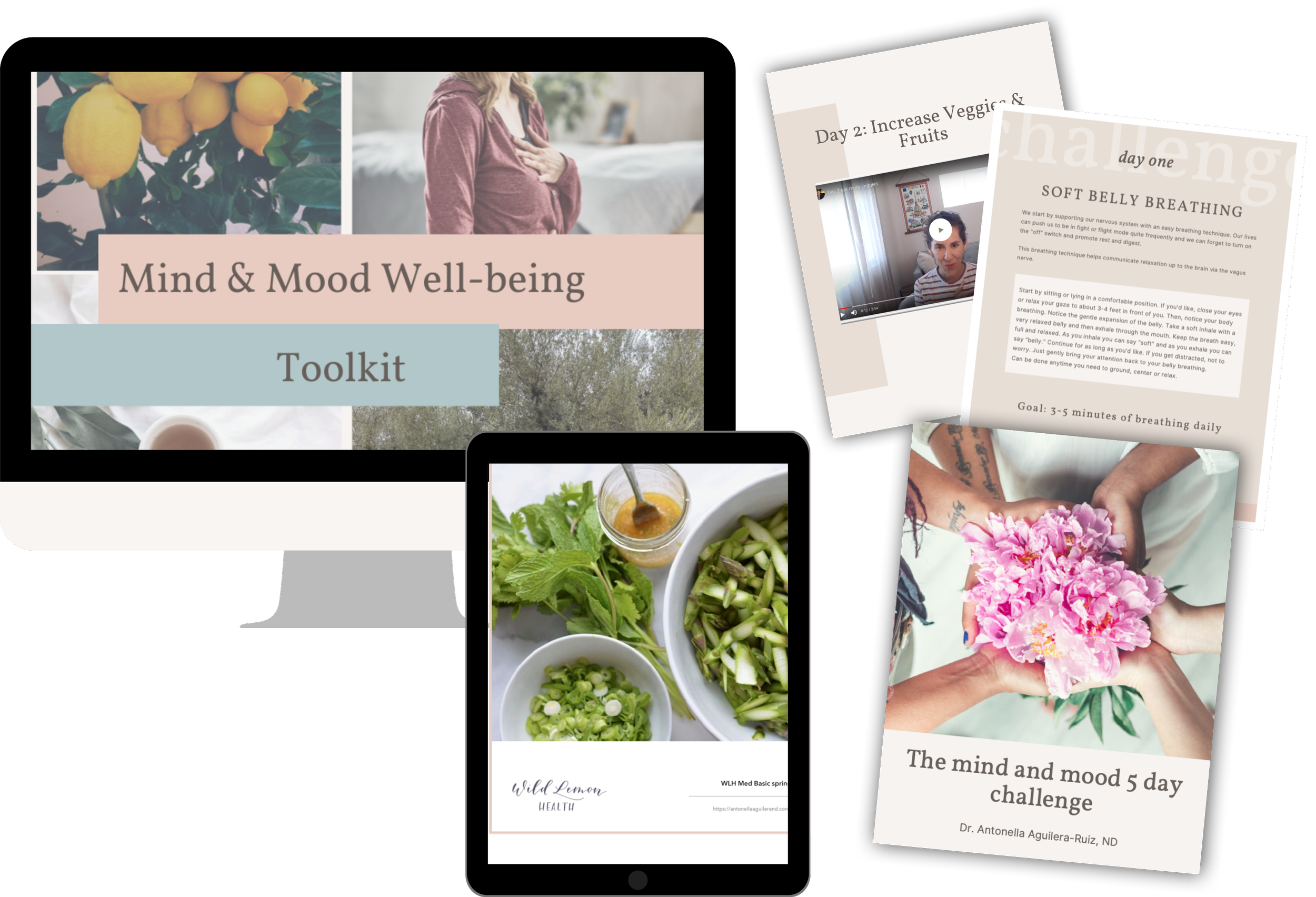 Mind & Mood Toolkit | Enhance Well-Being Today – Learn More — Wild ...