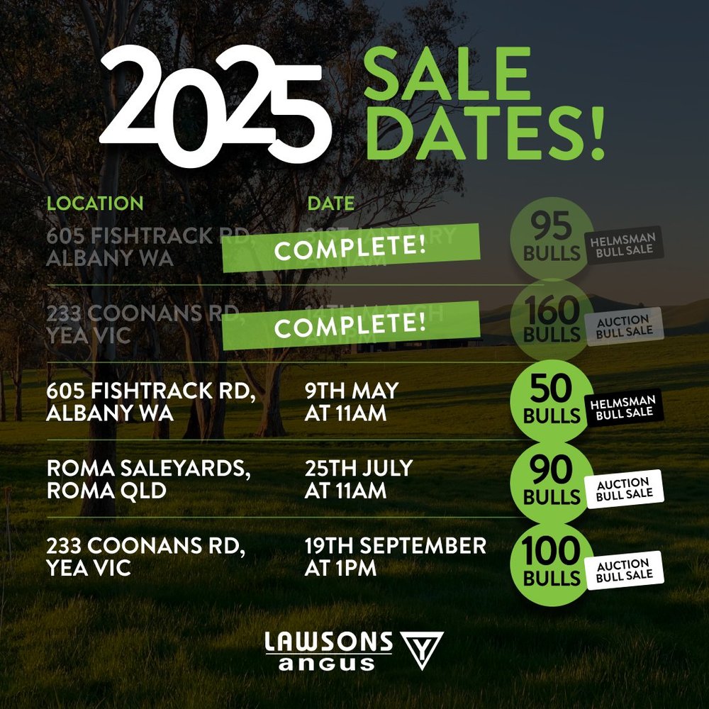 2025 Sale dates! — Lawsons Angus
