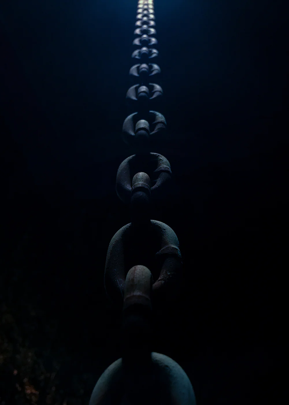 Software — RNA Analytics