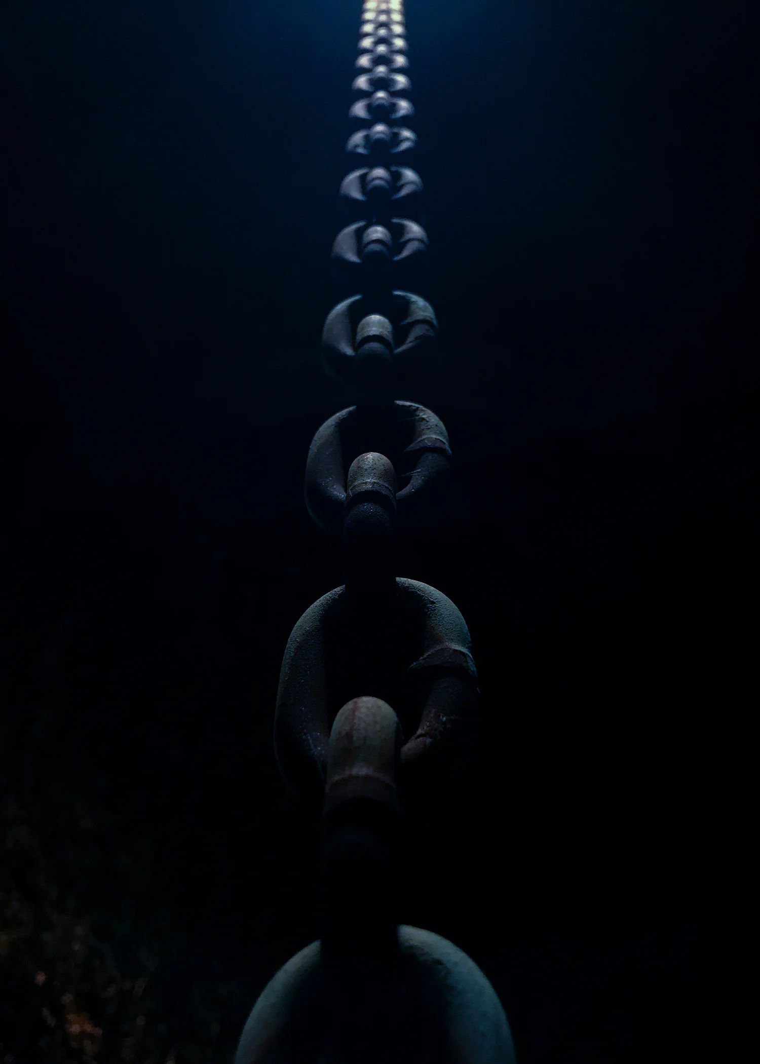 Software — RNA Analytics