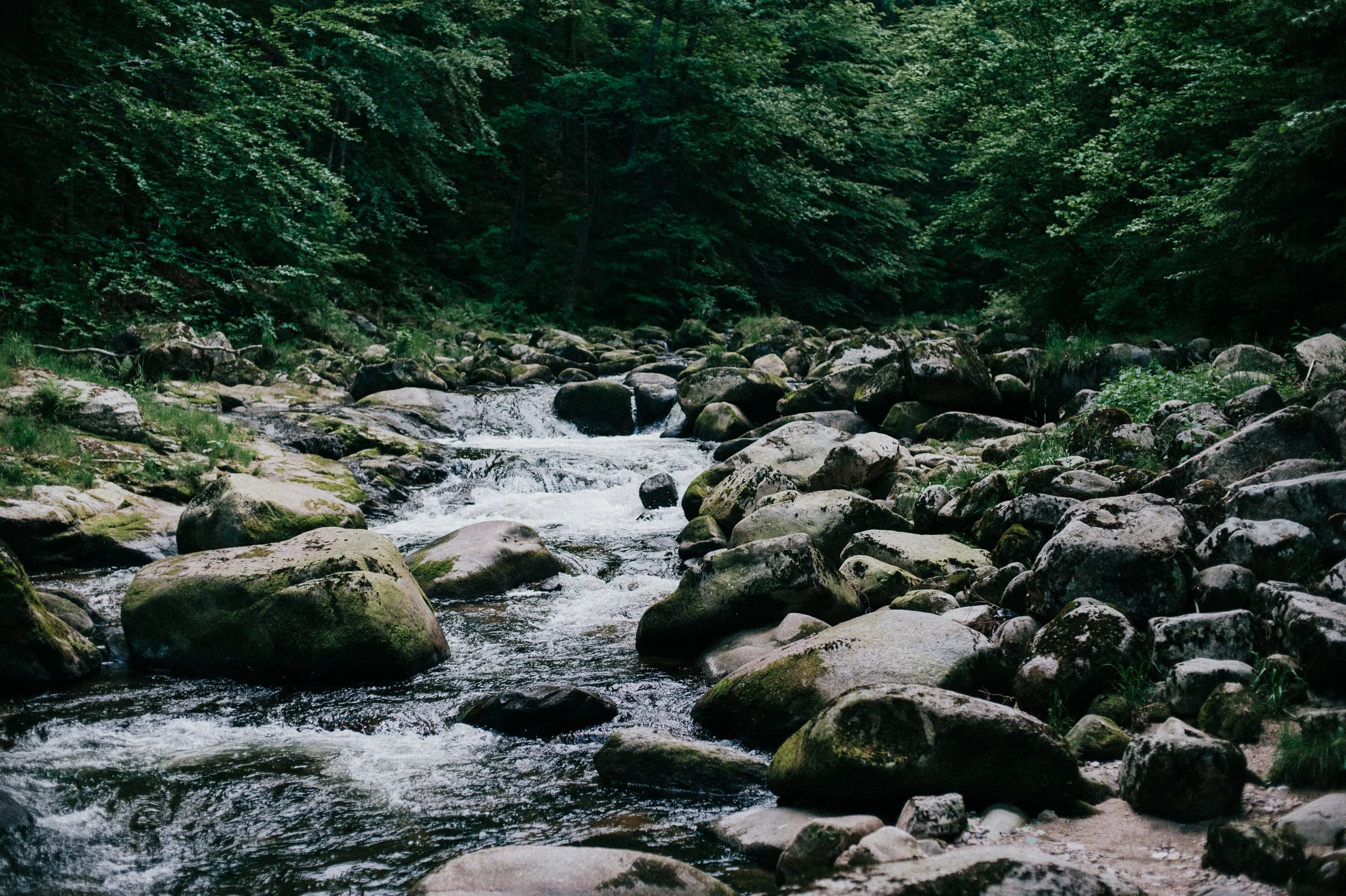 Hajde Collection — Papert Pictures