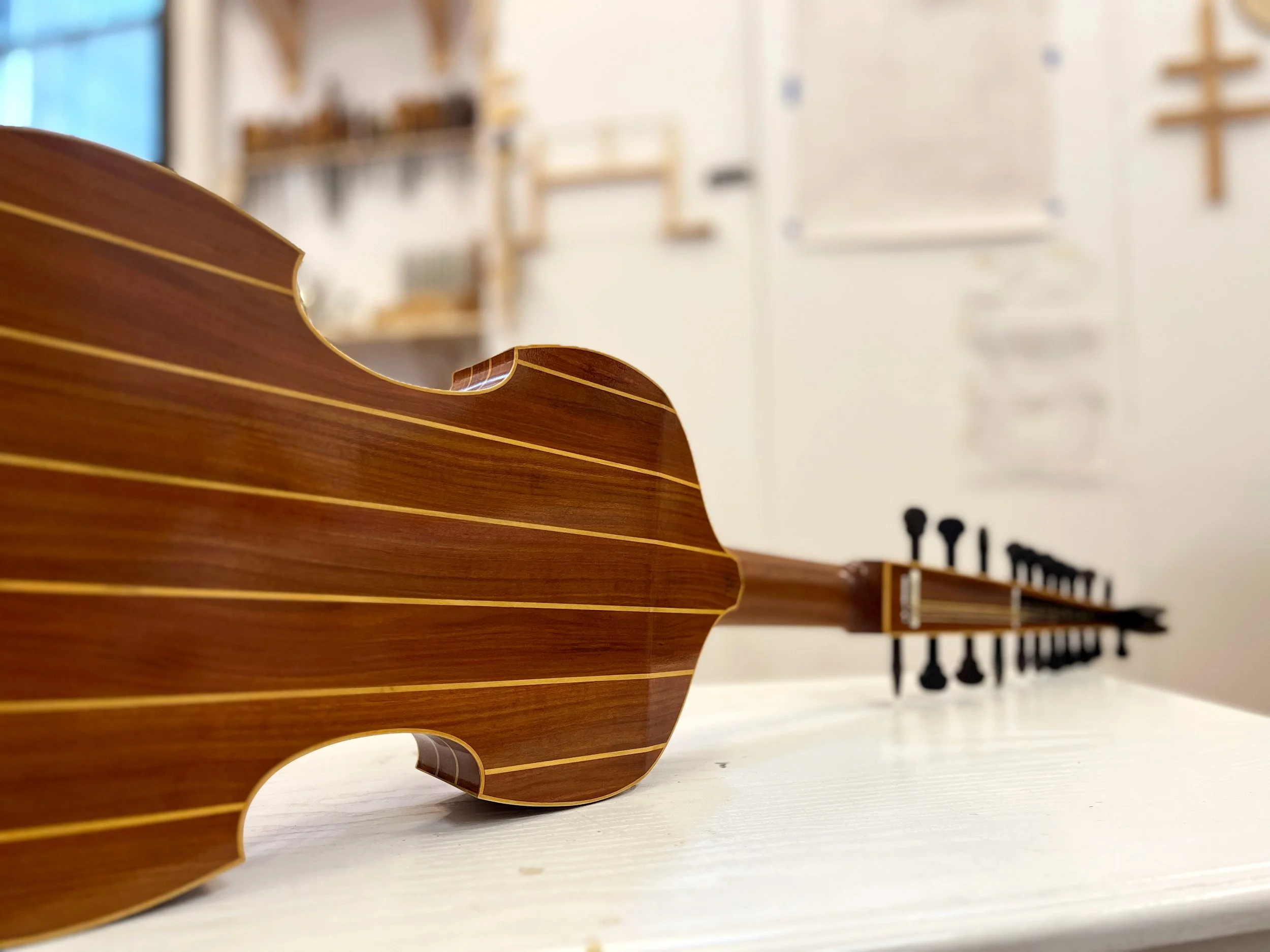 Viola d'amore in 'C' tuning with 14 sympathetic strings. — Jonathan ...