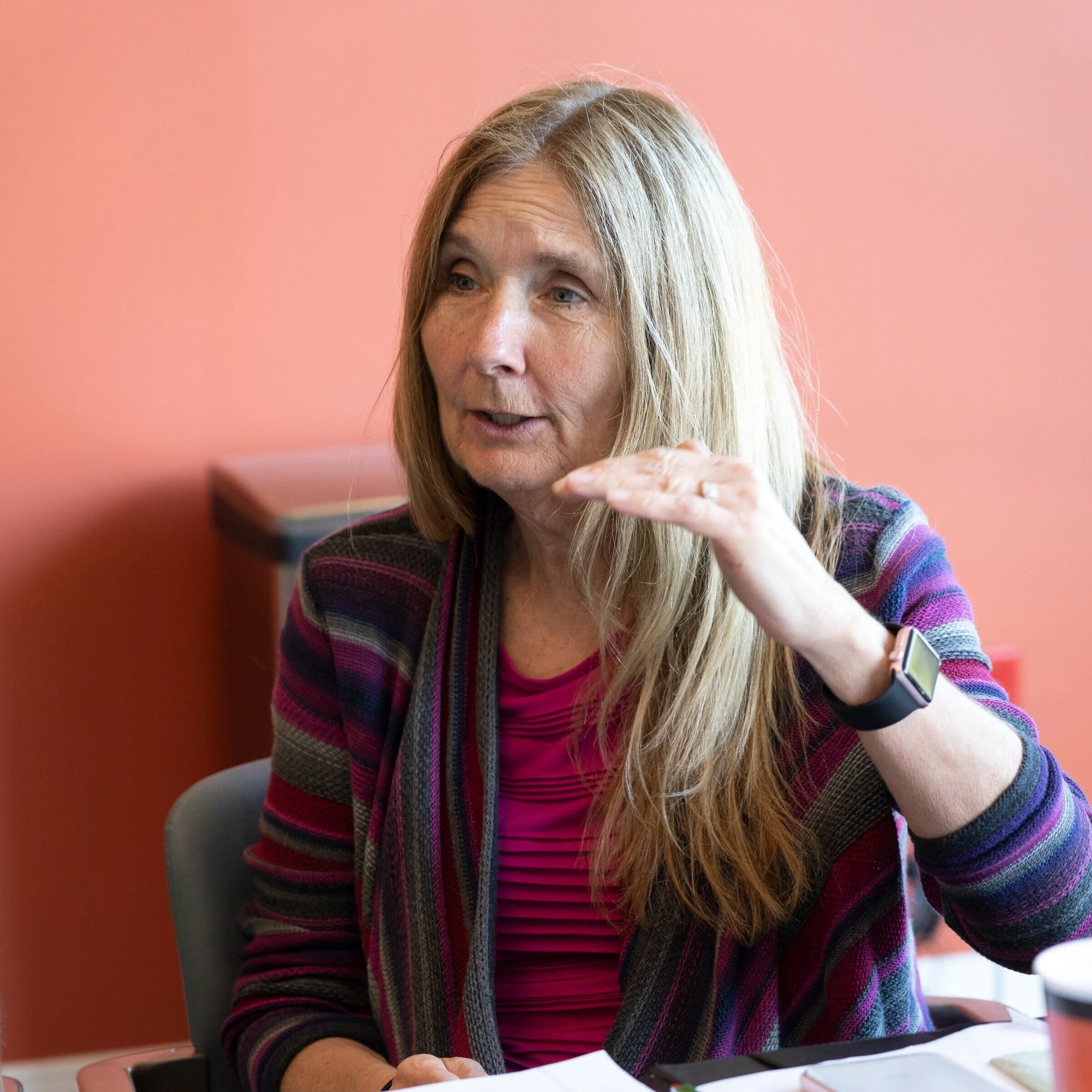 About 1 — Anabaptist Providers Group