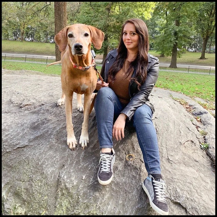 Animal Lighthouse Rescue