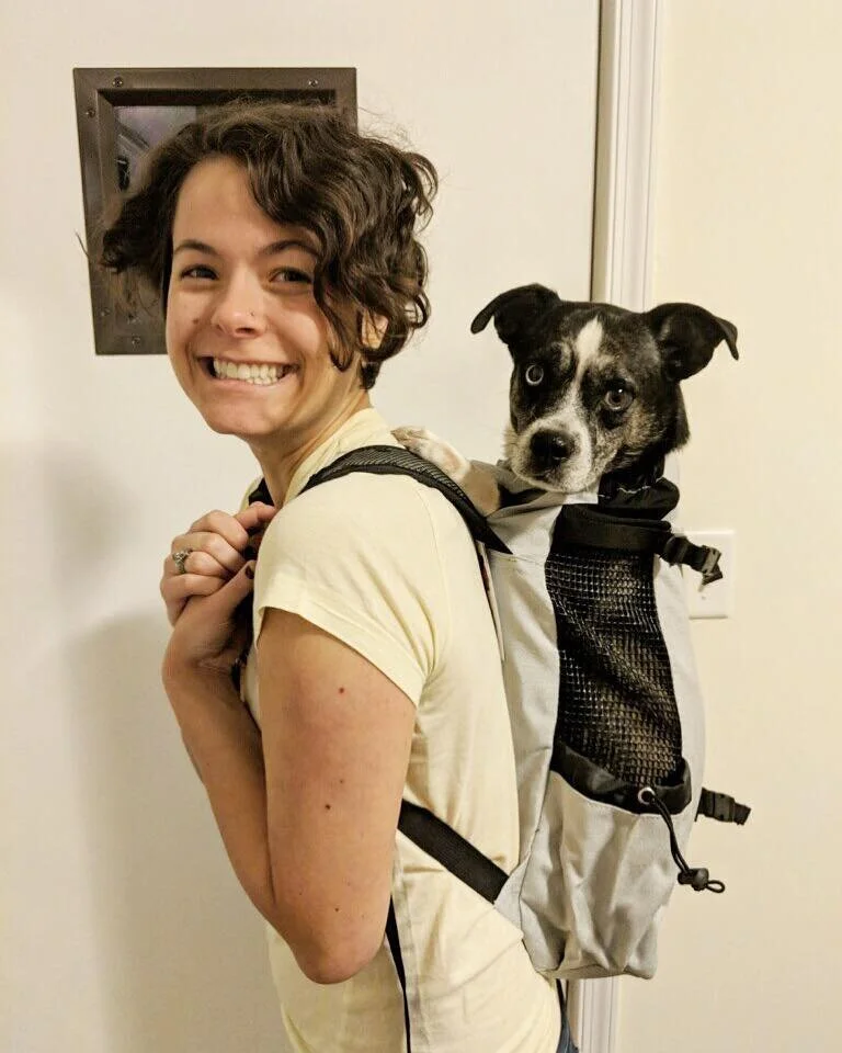 Animal Lighthouse Rescue