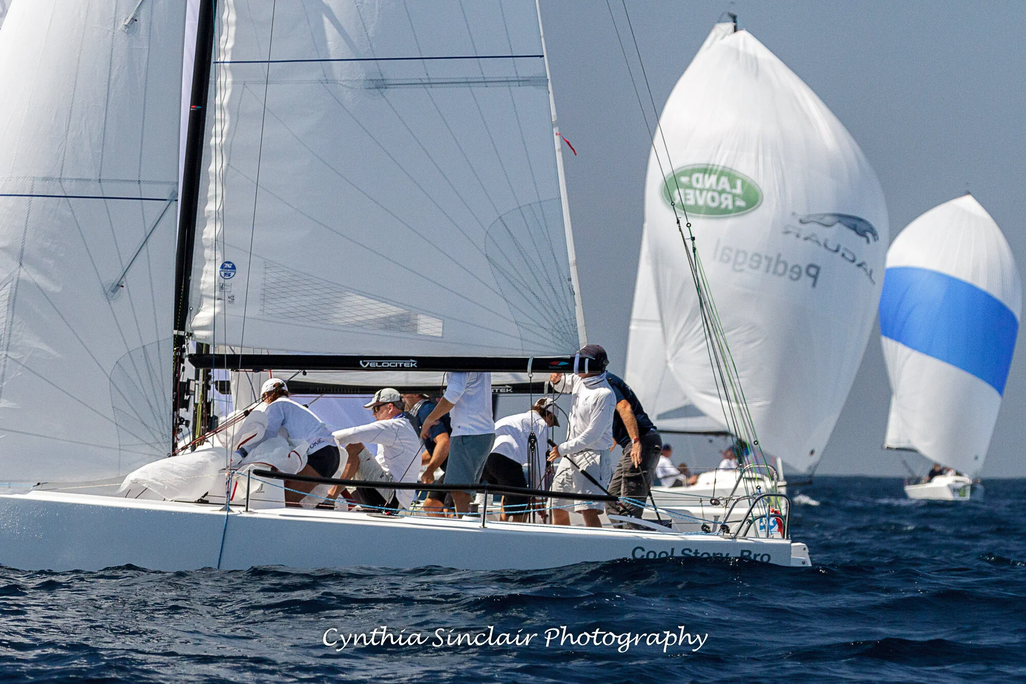 Gallery — The Favored End