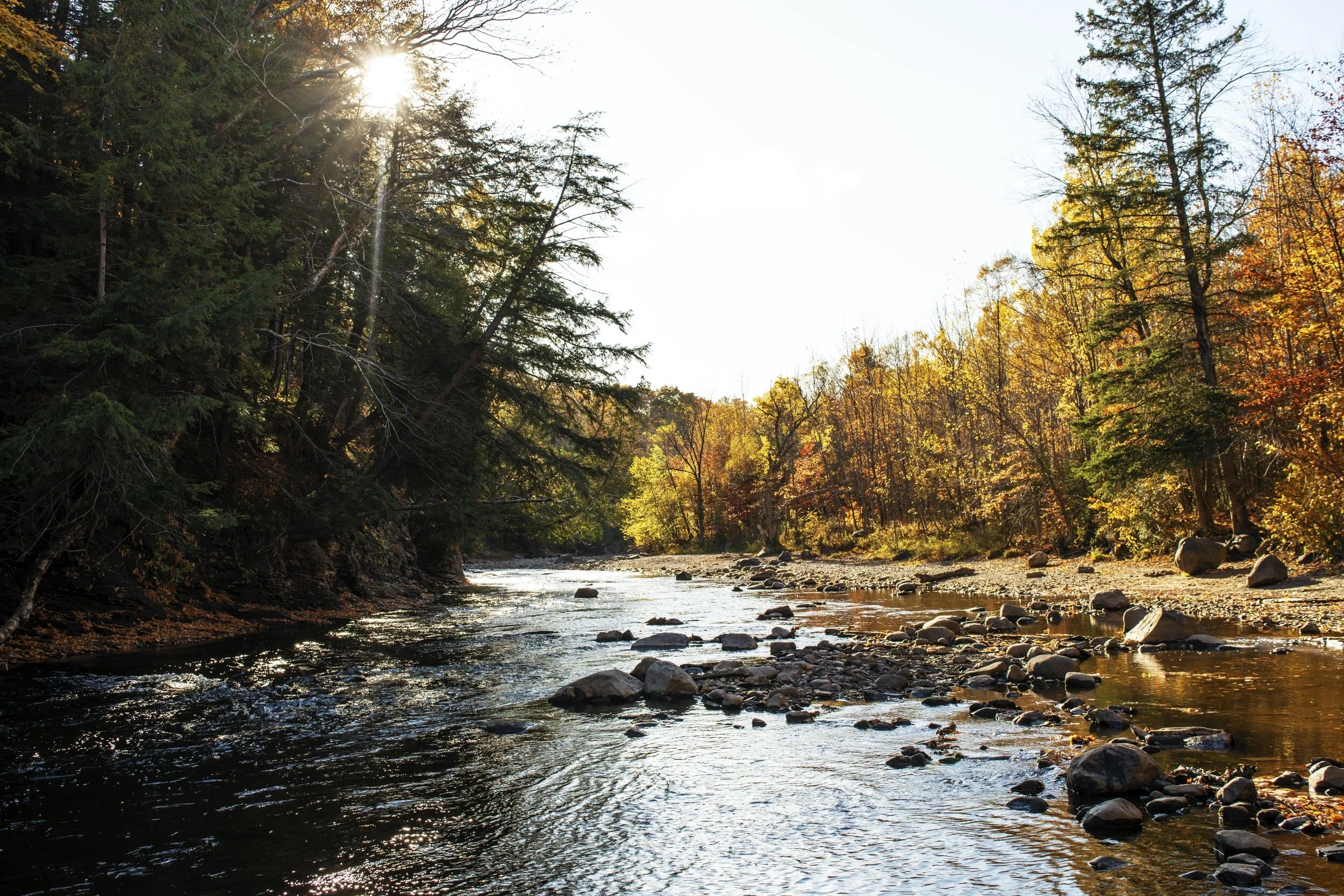 riverside lawn & landscaping