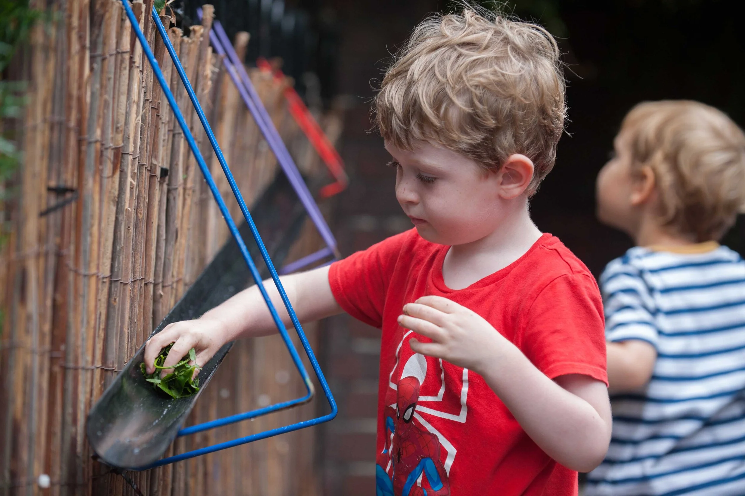 1st Place Nurseries — 1st Place UK