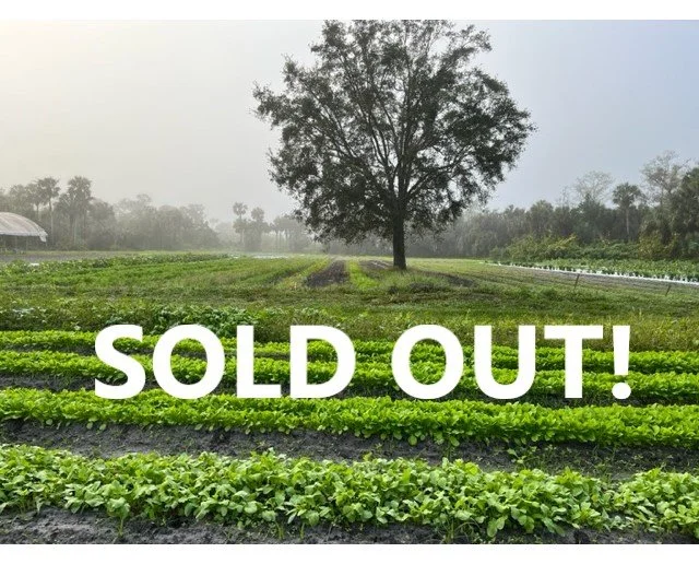 Events — Inyoni Organic Farm