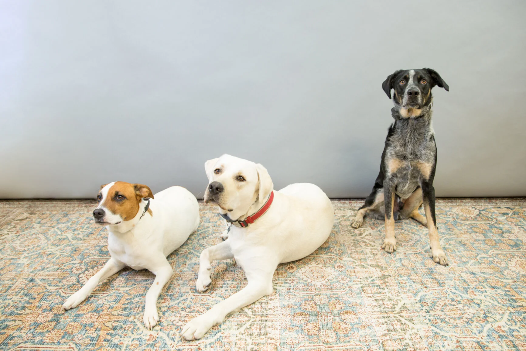 About Us — Spectrum Sourcing