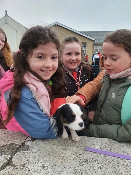 Catholic Ethos and School Aims — Scoil Iosagain | Buncrana