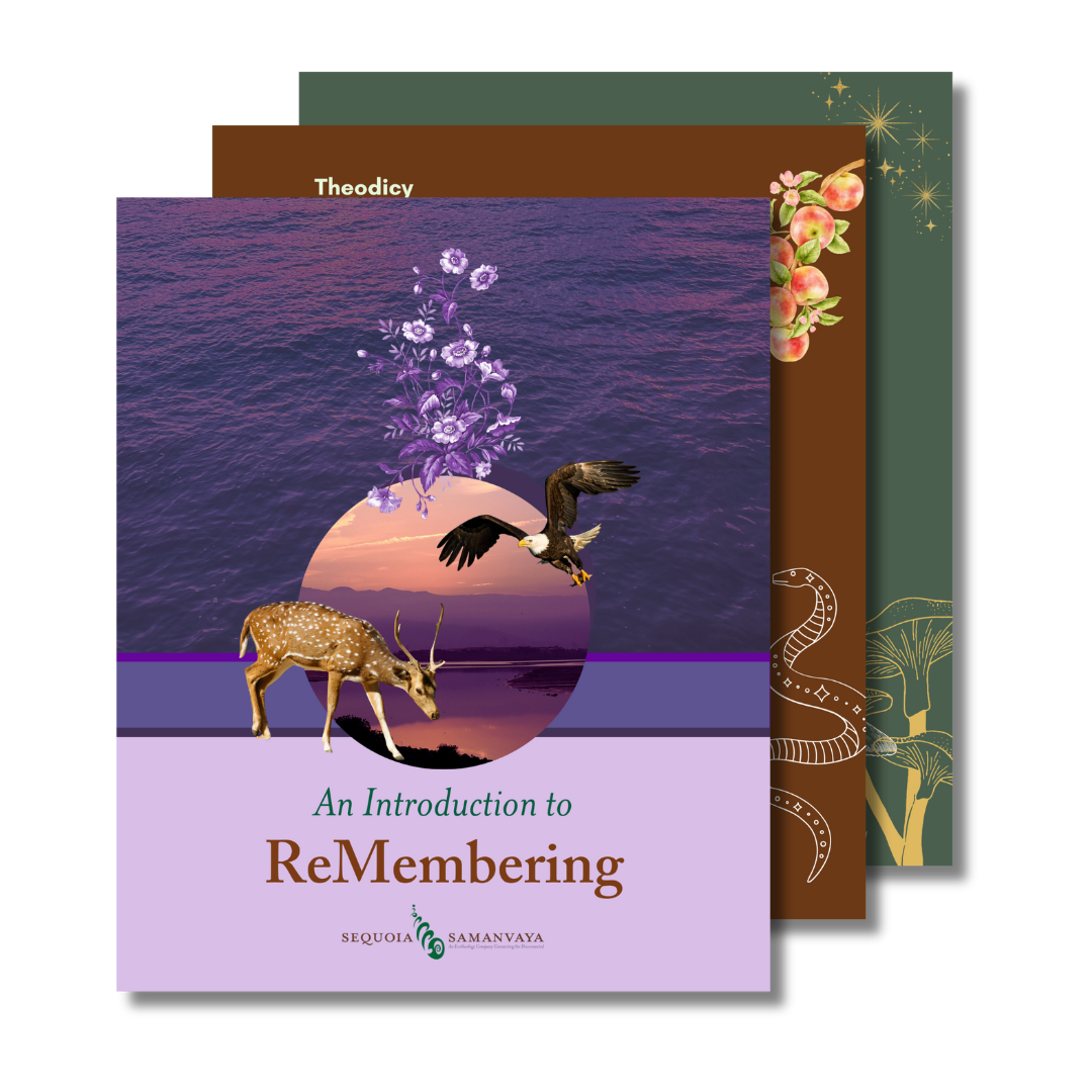 ReMembering Introduction booklet — Sequoia Samanvaya
