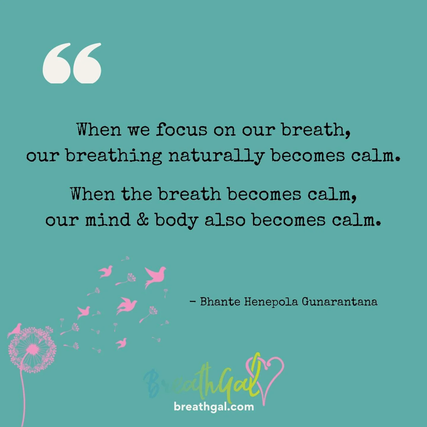 Breathing techniques to help you live a better life | Breath Gal