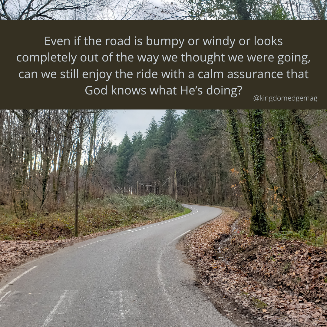 Bumpy Road Quotes