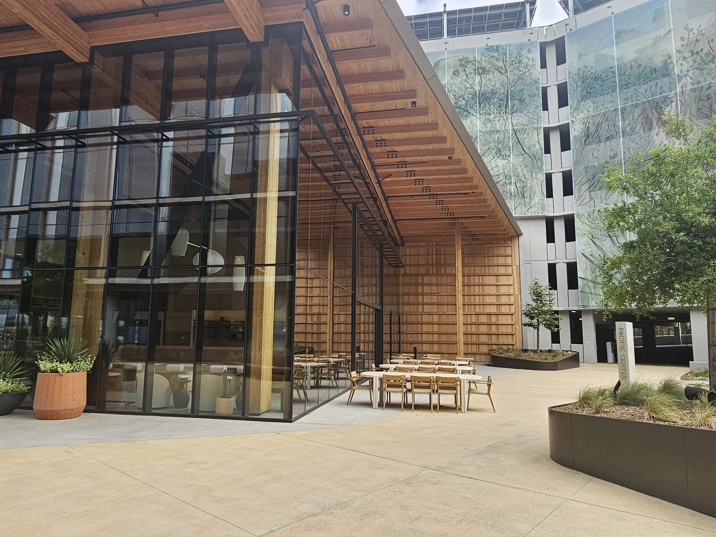 Thin CLT Panels: Decorative Solutions for Mass Timber Projects — We ...