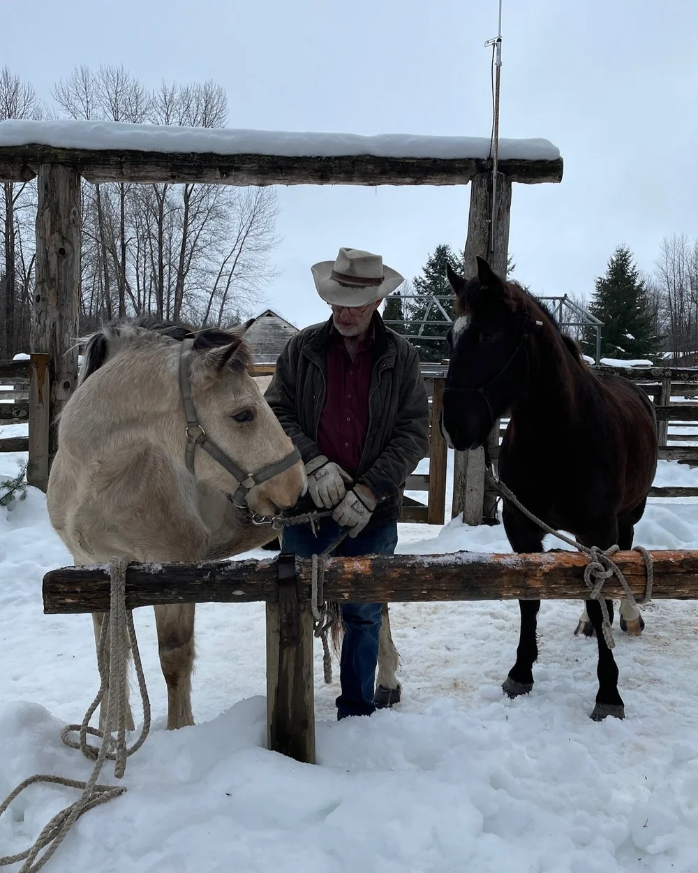 New Kids on the Block: Thunder and Lightning — Copper Cayuse Outfitters