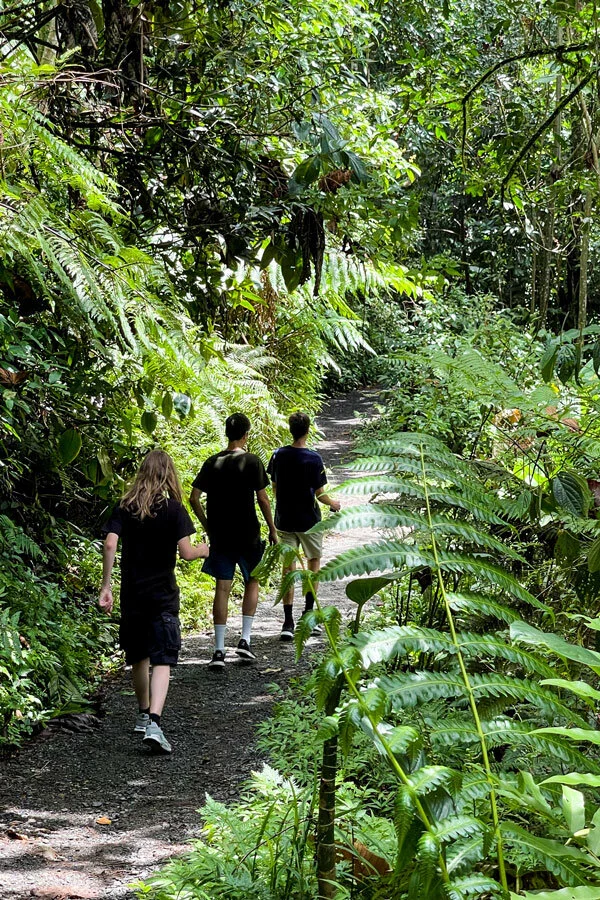 El Yunque National Forest [Puerto Rico Tropical Field Trip ...