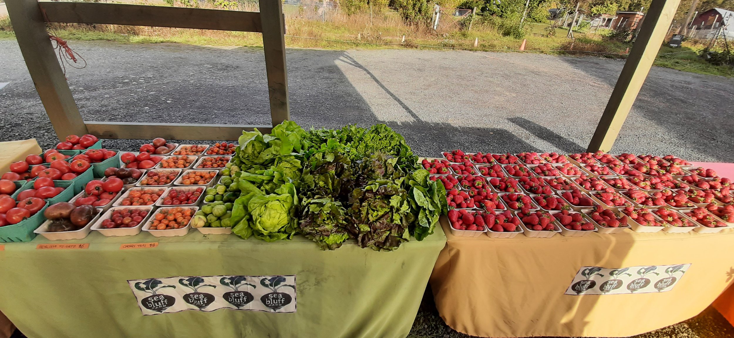 Sea Bluff Farm Certified Organic iopa # 1920