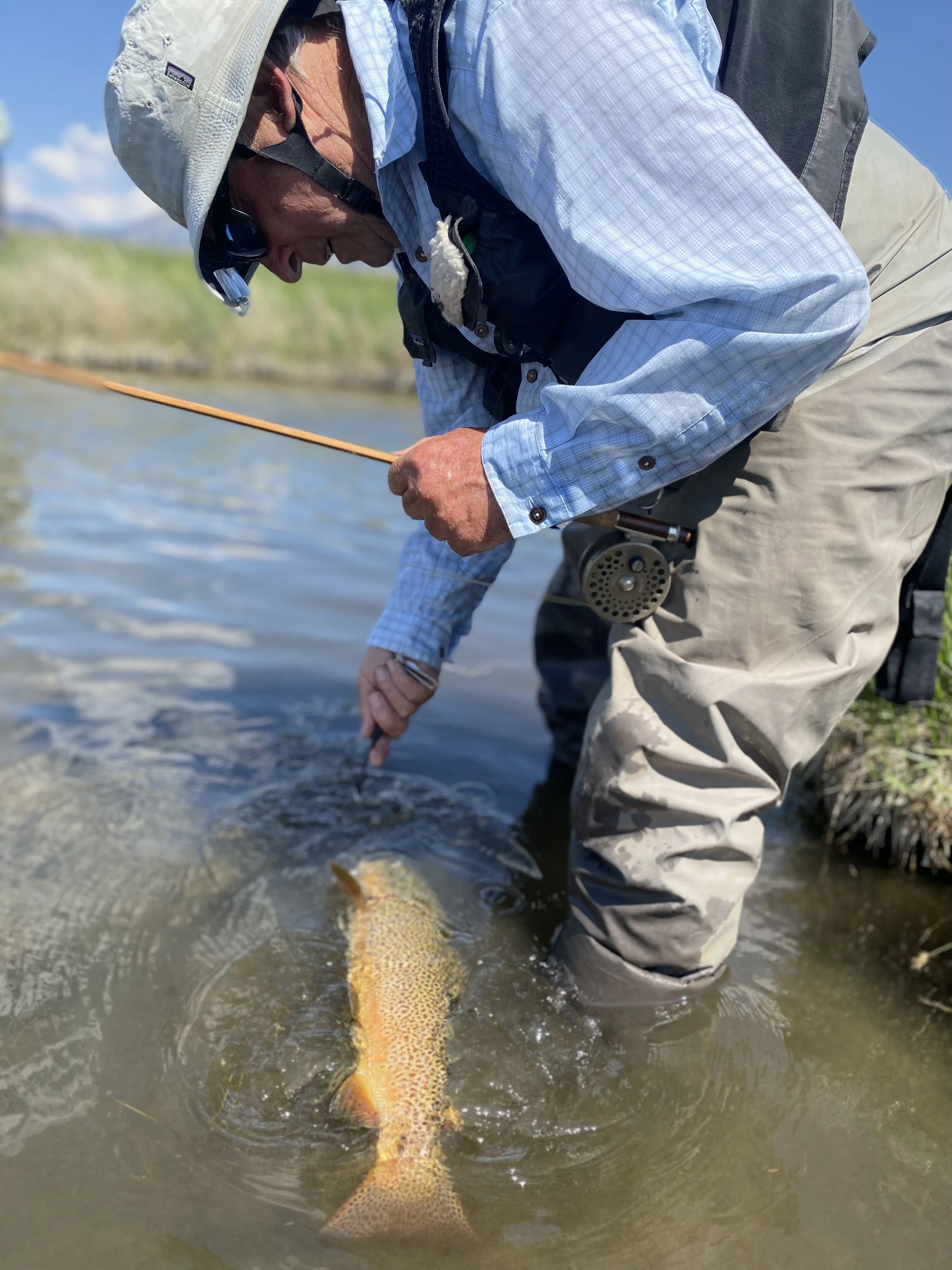 Observation, Approach, and Presentation — YELLOWSTONE CONSERVATION AND ...