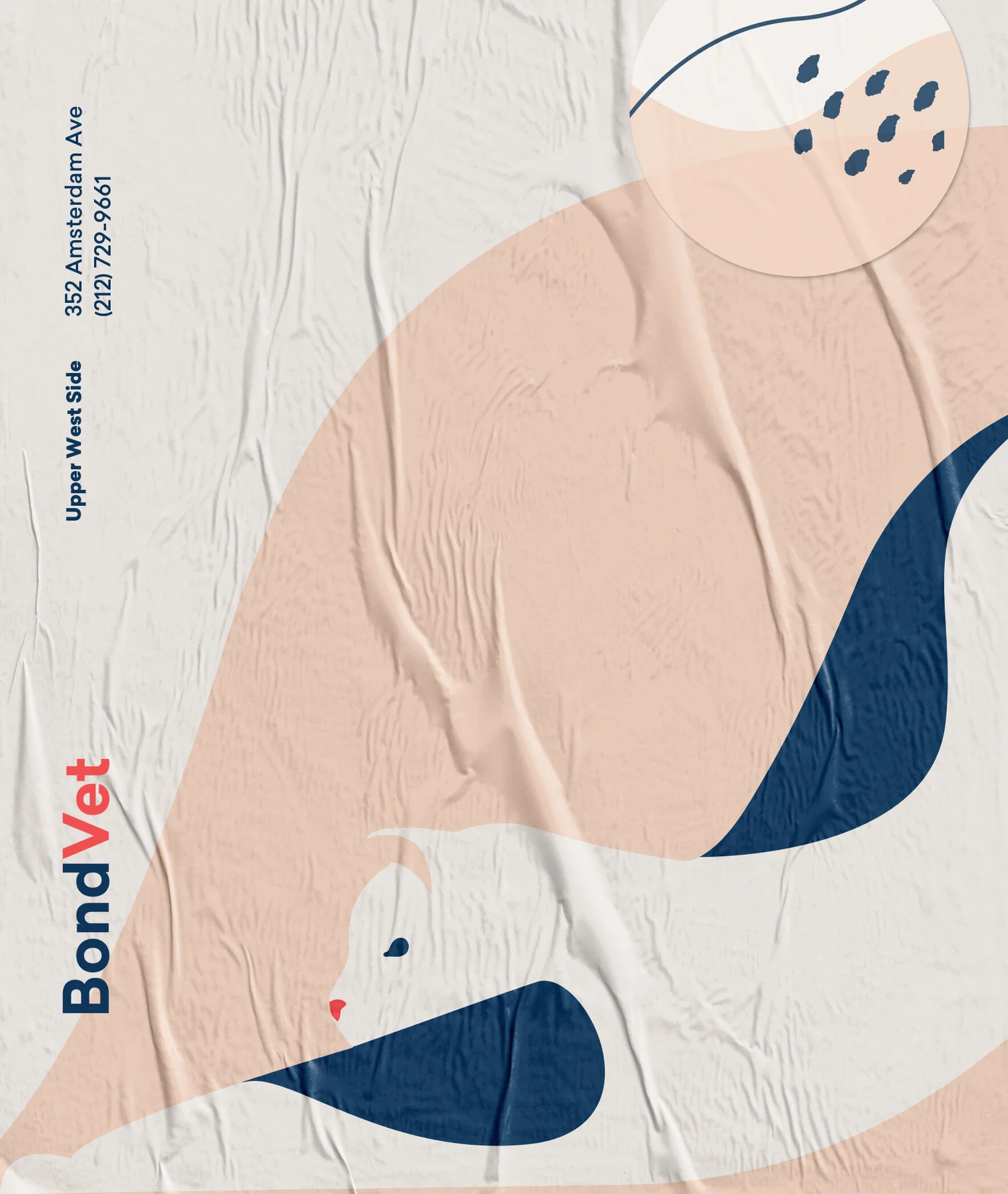 Bond Vet — Manureva Studio - Branding & Illustration